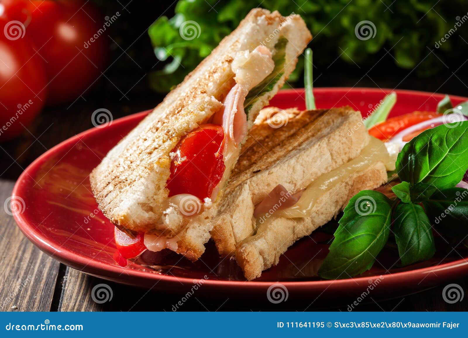 Toasted Panini with Ham, Cheese and Tomato Sandwich Stock Image - Image ...