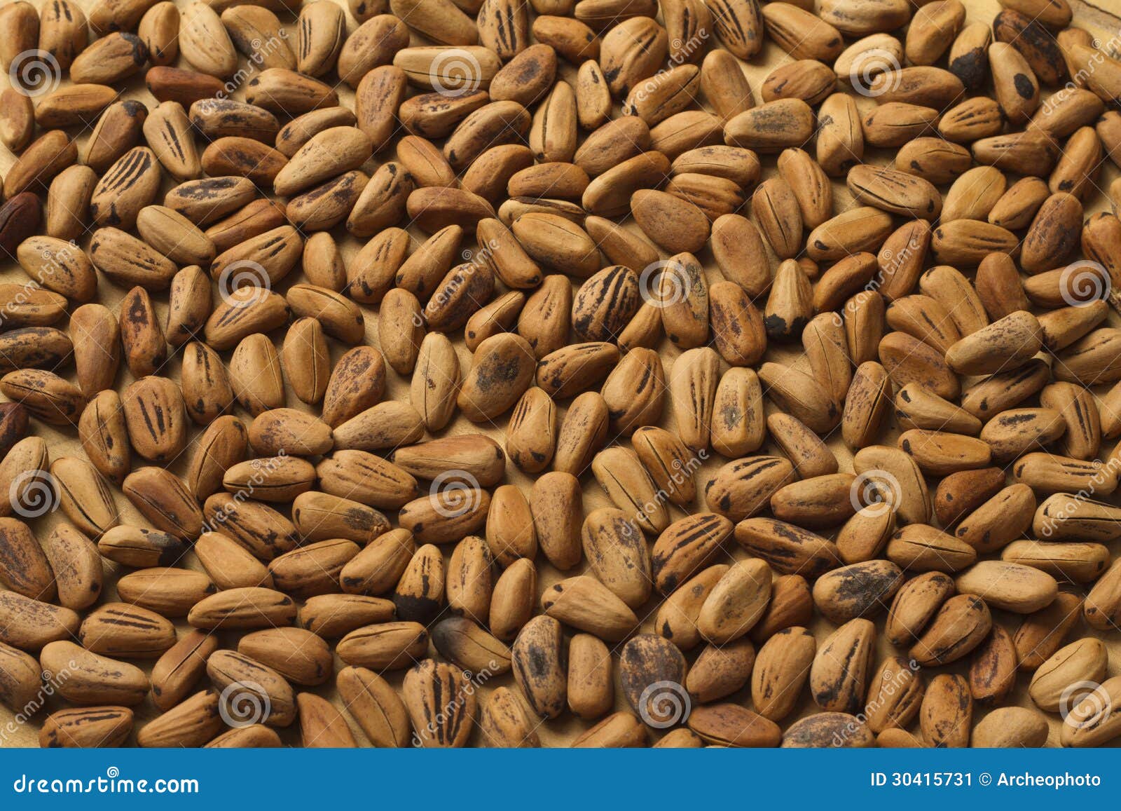 Toasted pinions stock image. Image of organic, ingredient - 30415731