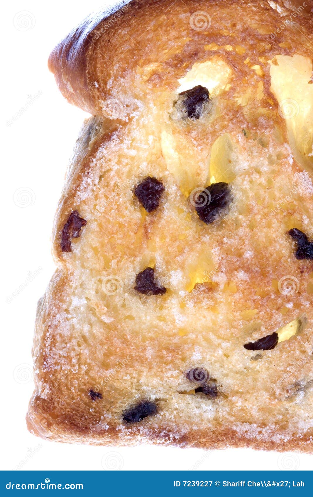 Toasted Raisin Bread Slice Isolated Stock Image - Image of crumb, slice ...
