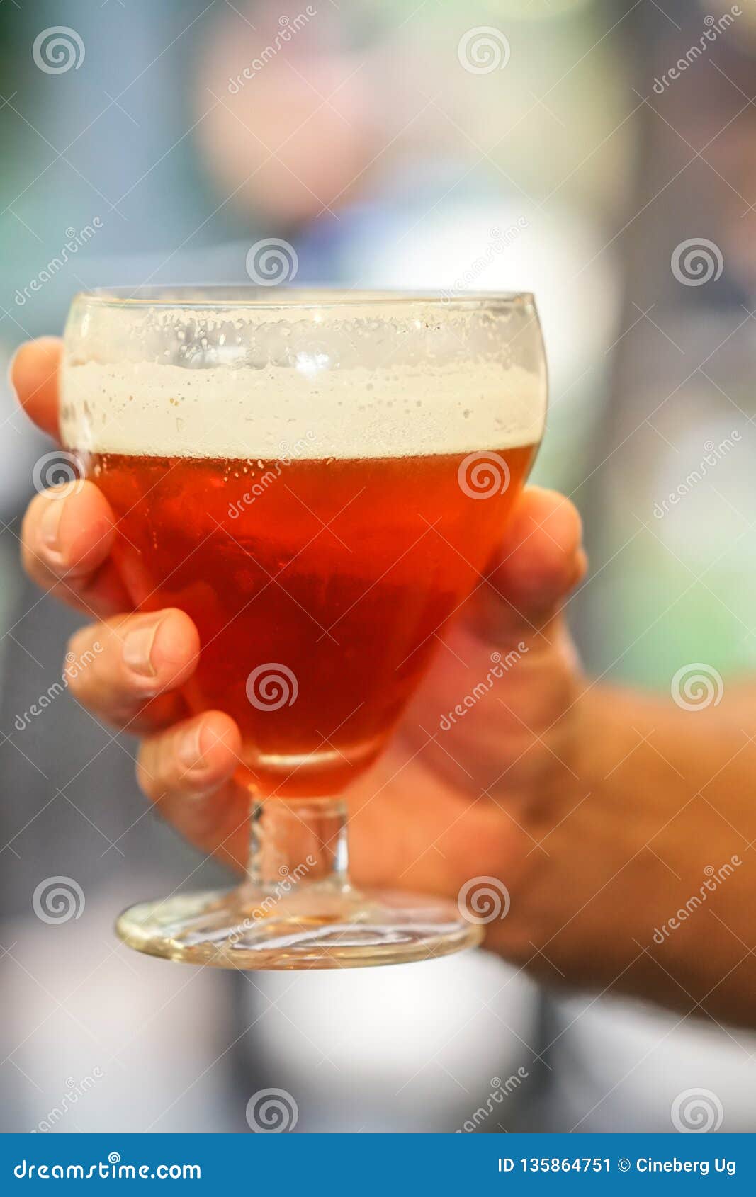 Toasting With Beer Stock Image Image Of Brands Alcoholism 135864751