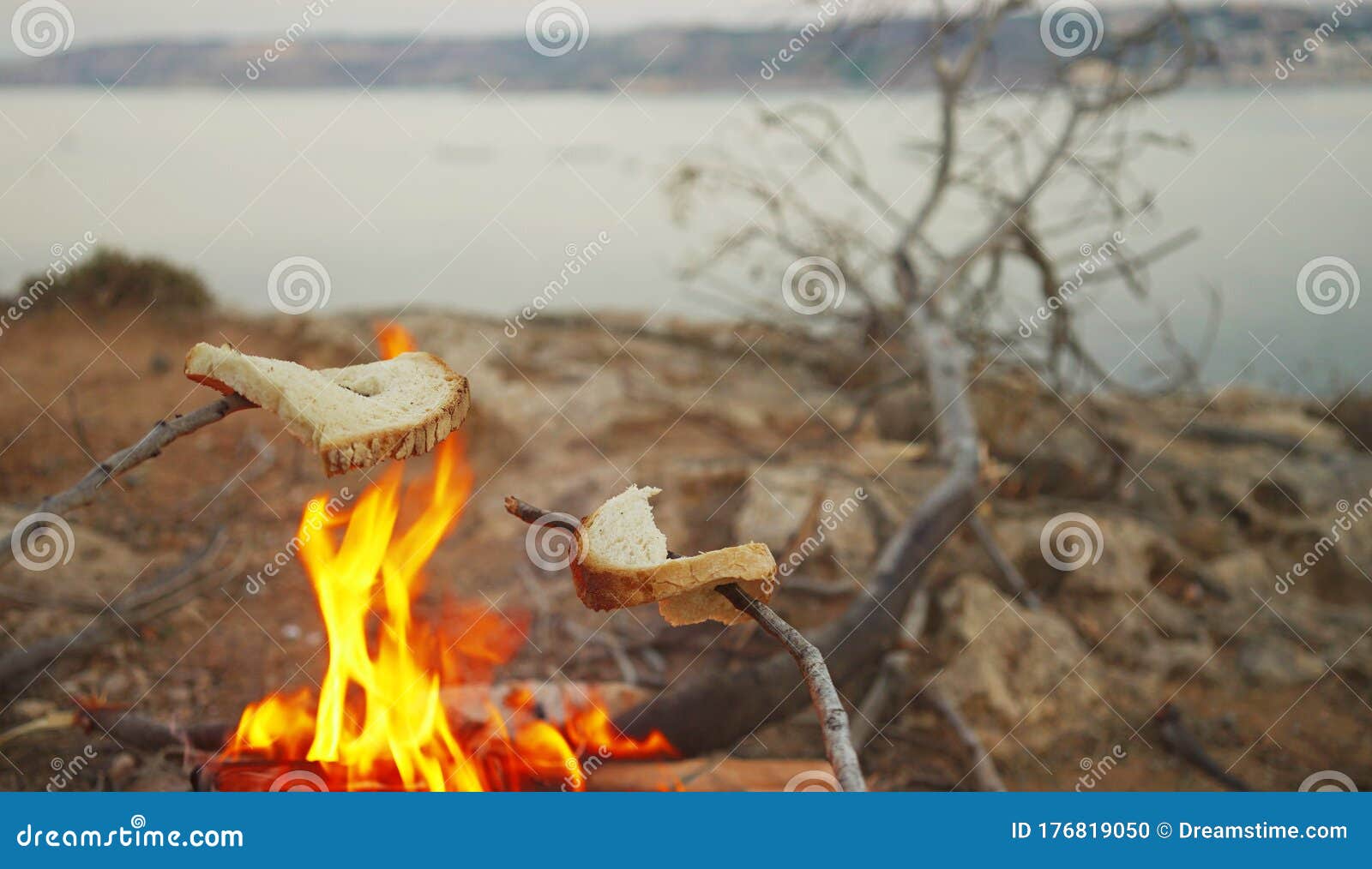 Toasting the Bread Above the Fire with a View Stock Photo - Image of ...