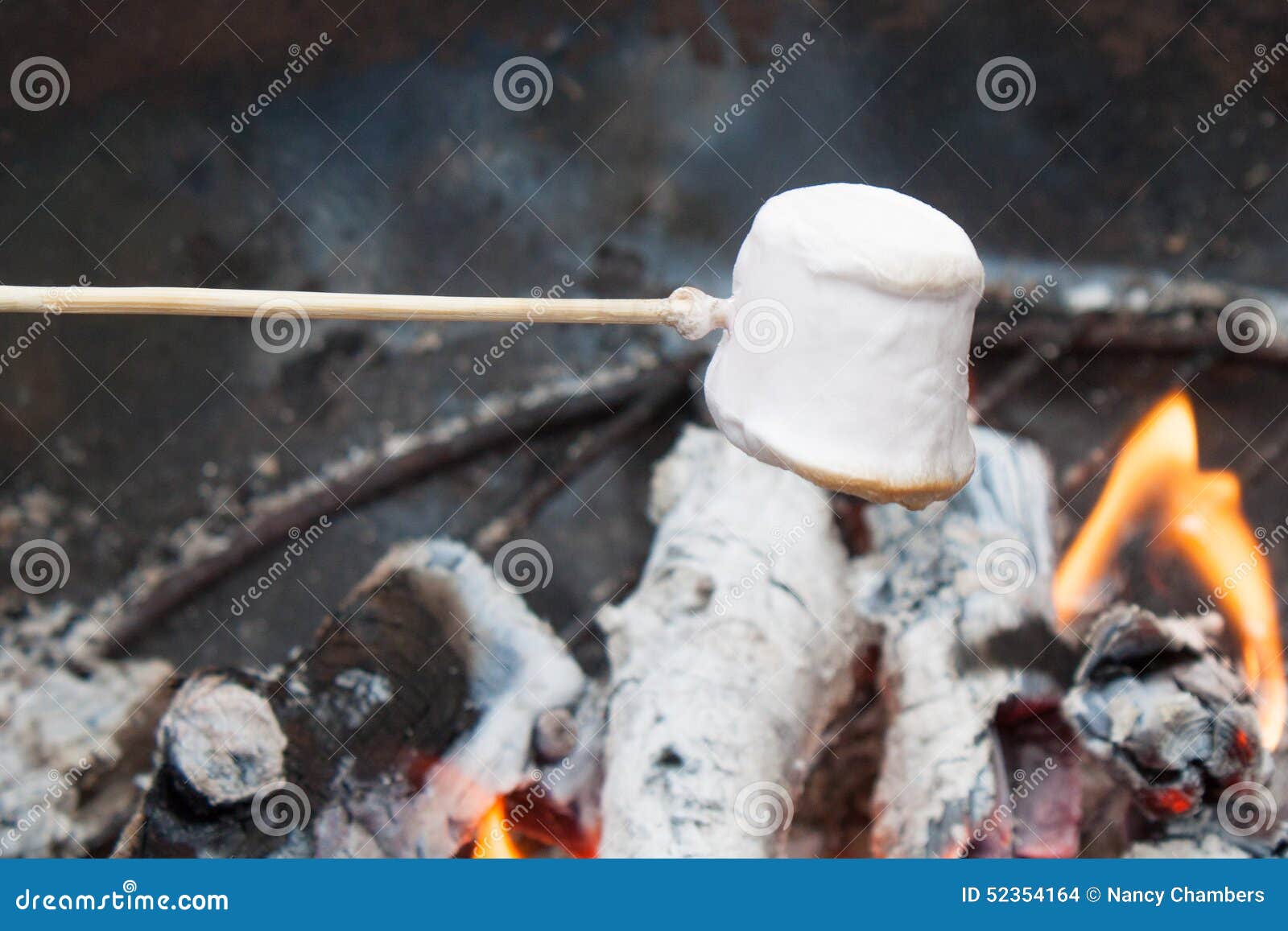 Toasting Marshmallows on a Fire Stock Photo - Image of sweet, garden ...