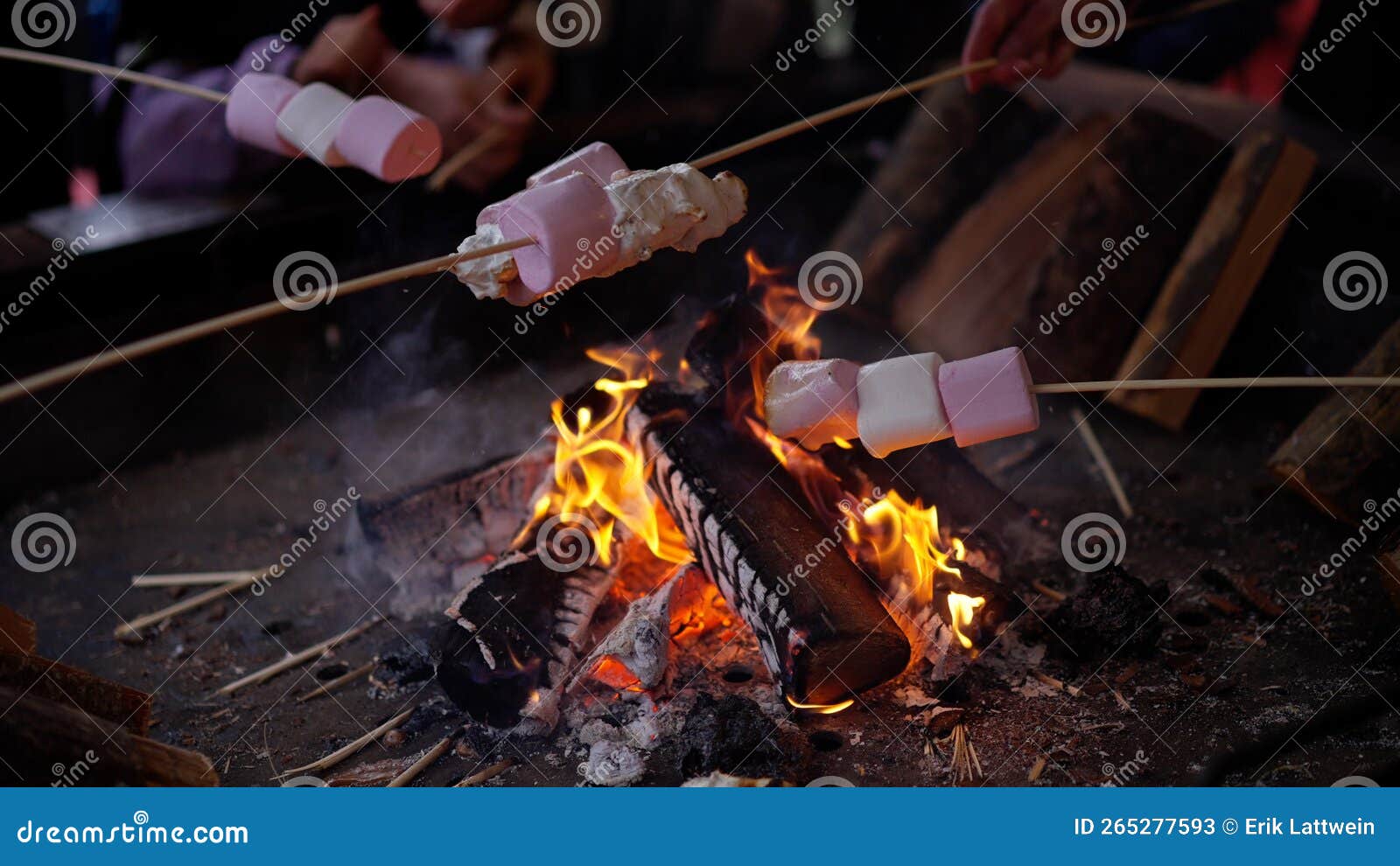 Toasting Marshmallows Over Open Fire Stock Image - Image of night ...