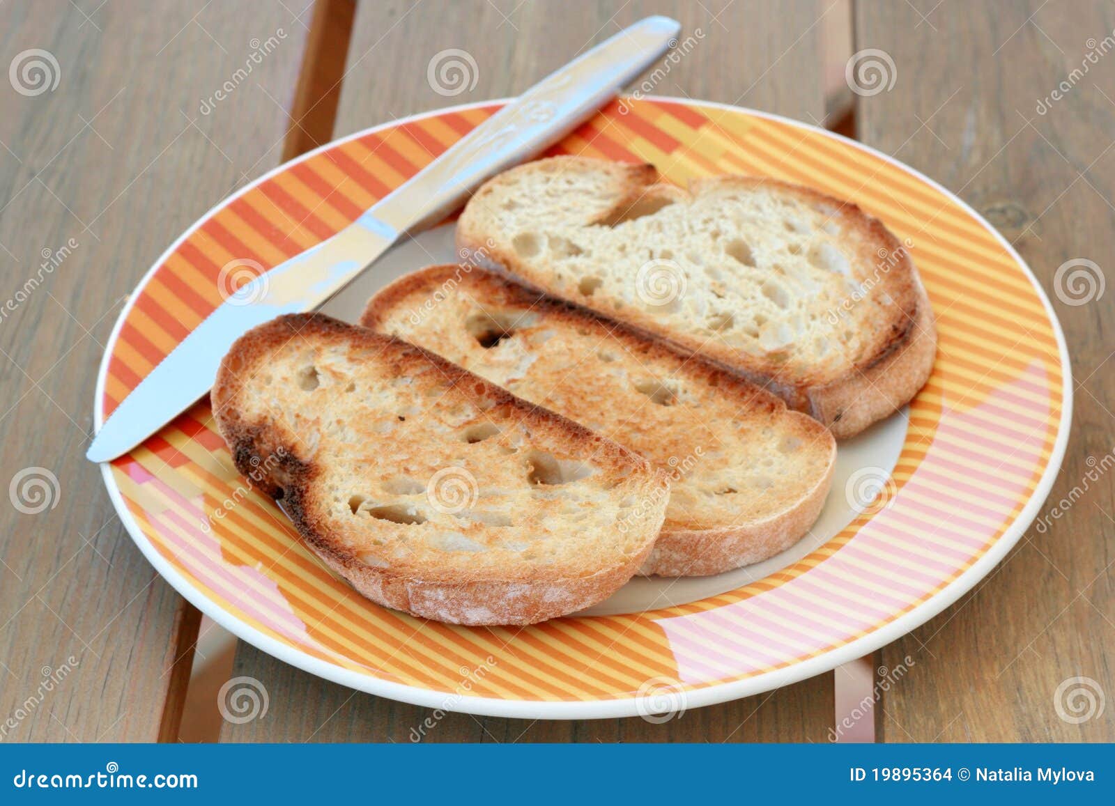 Toasts on a plate stock photo. Image of sliced, bakery - 19895364