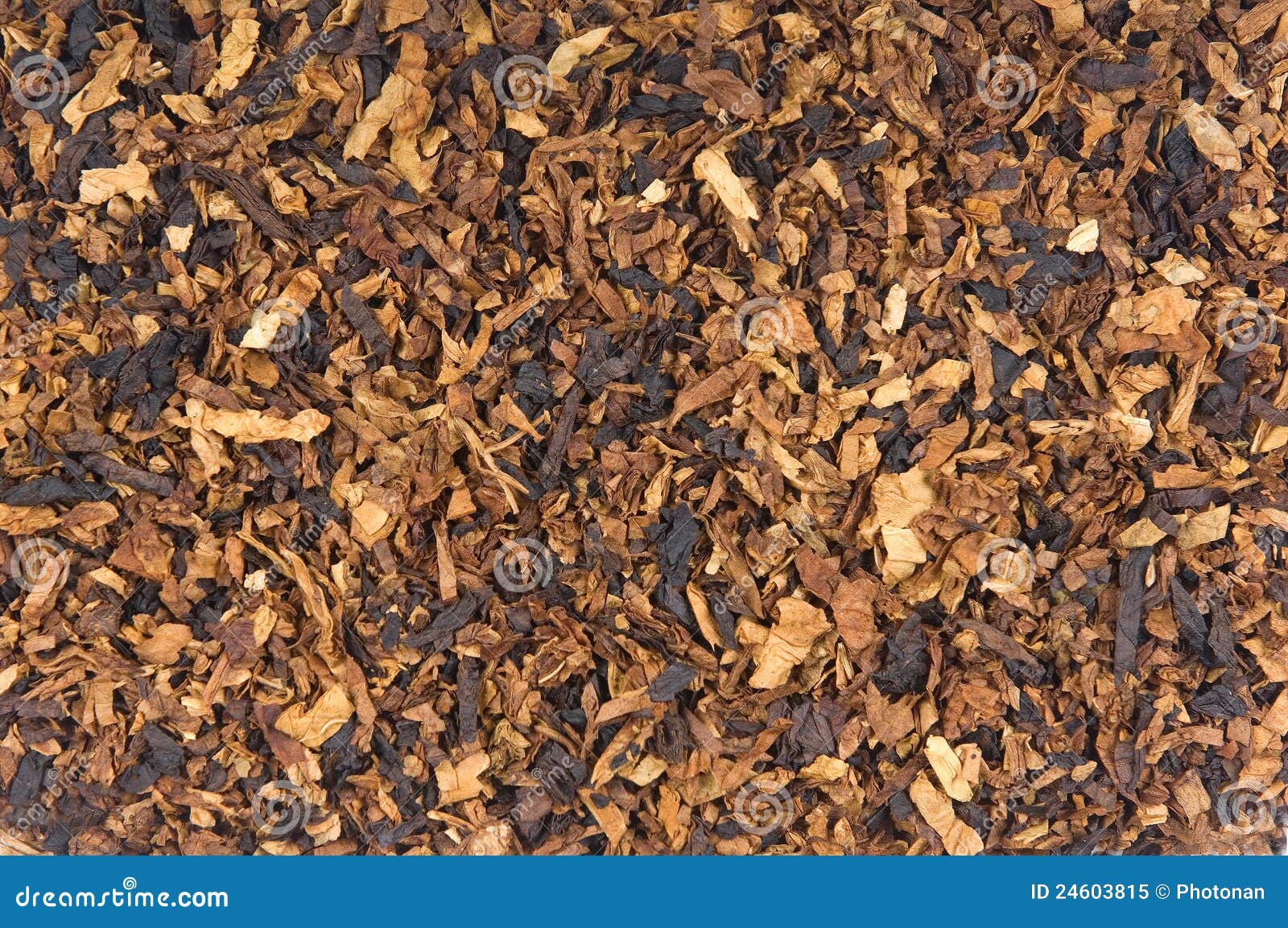 Tobacco stock image. Image of addiction, brown, smoke - 24603815