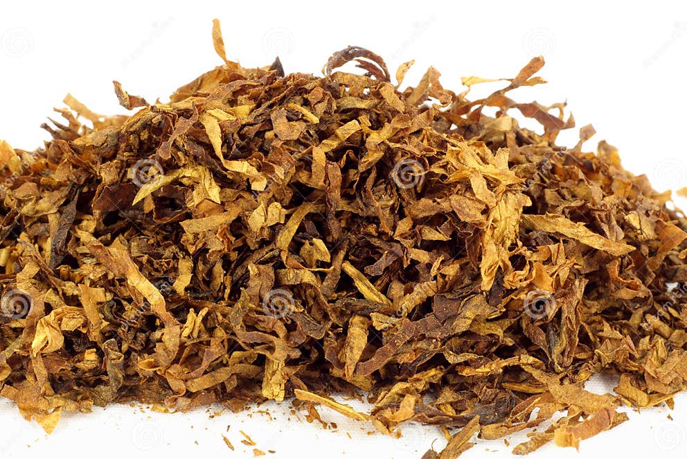 Tobacco. stock image. Image of object, kind, healthy, health - 4445855