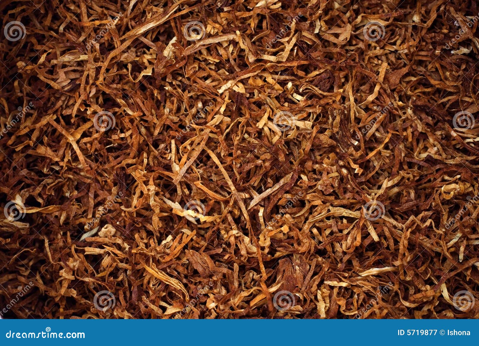 Tobacco stock image. Image of danger, abstract, background - 5719877