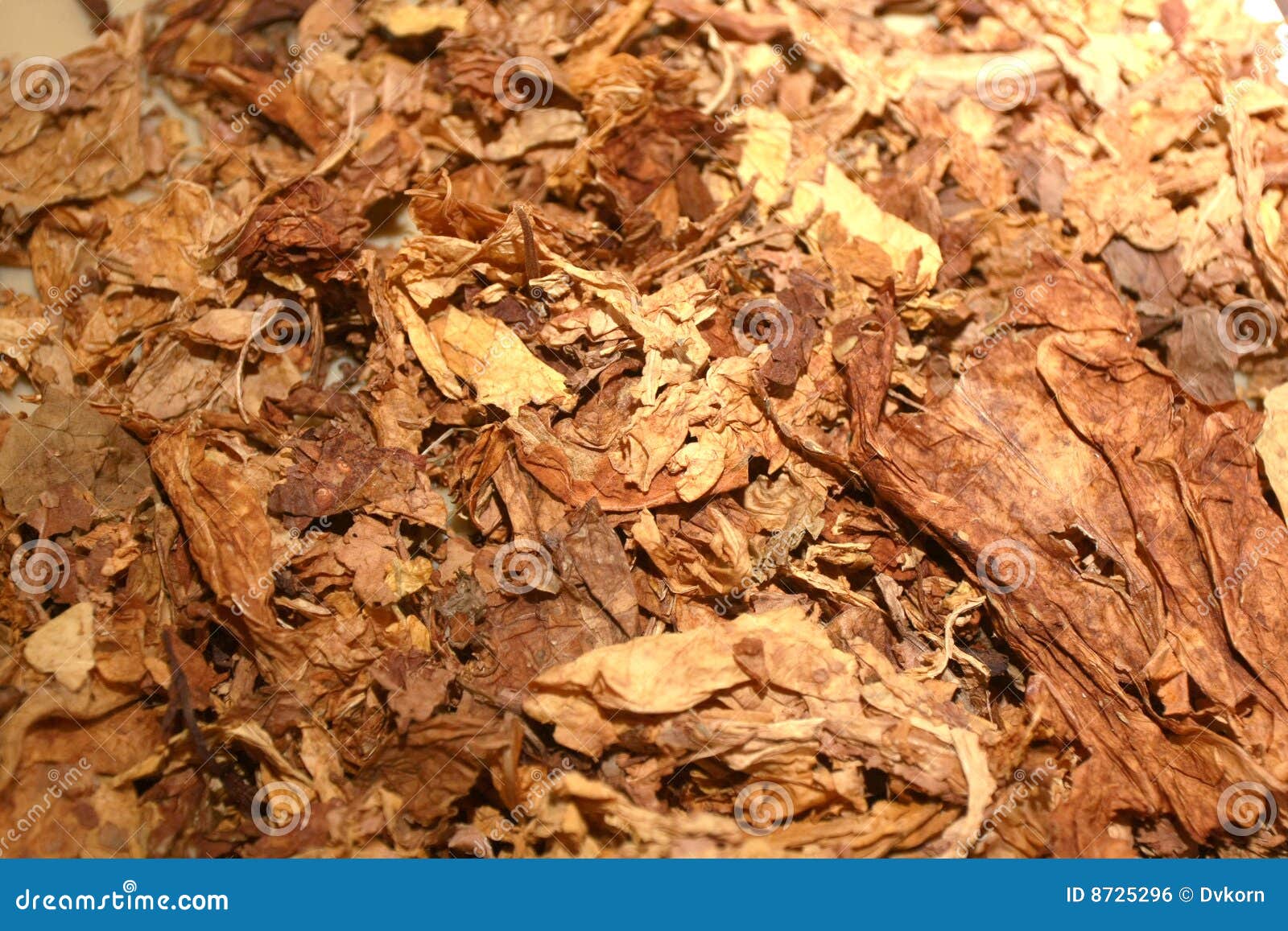 Tobacco stock photo. Image of carved, music, male, producing - 8725296