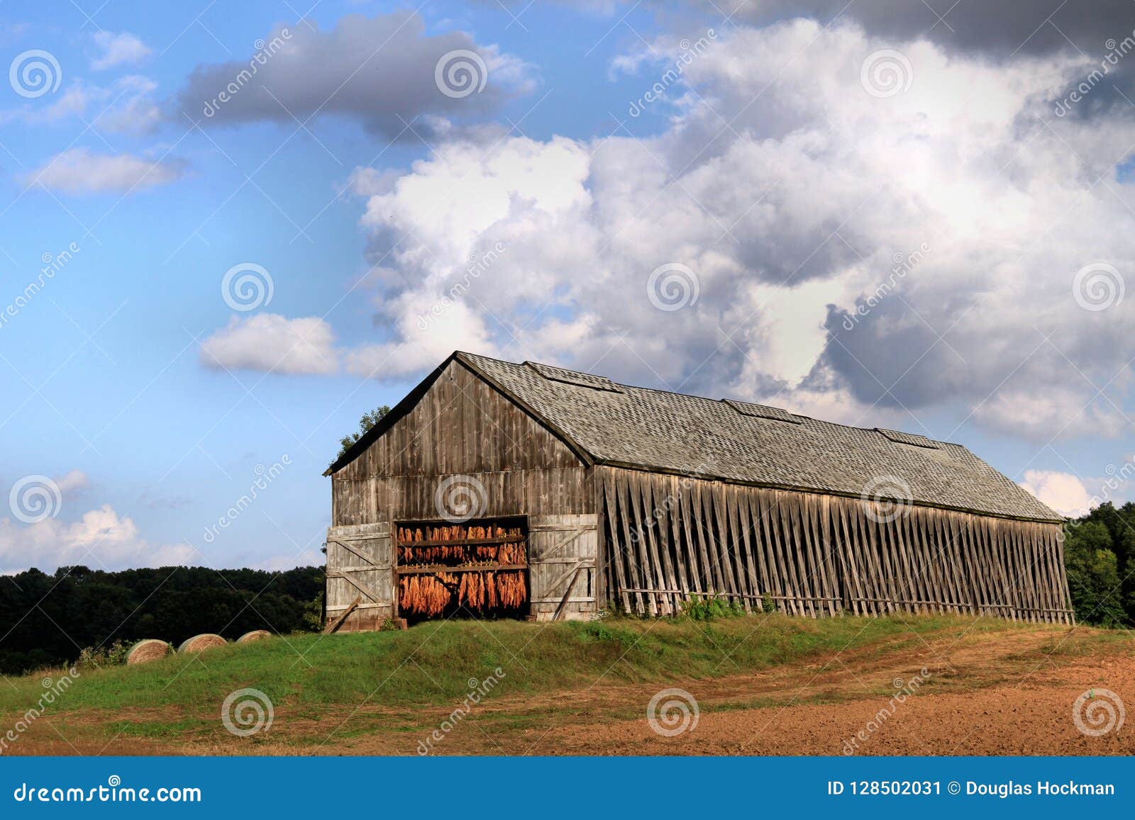 Tobacco Barn stock image. Image of found, valley, barns - 128502031