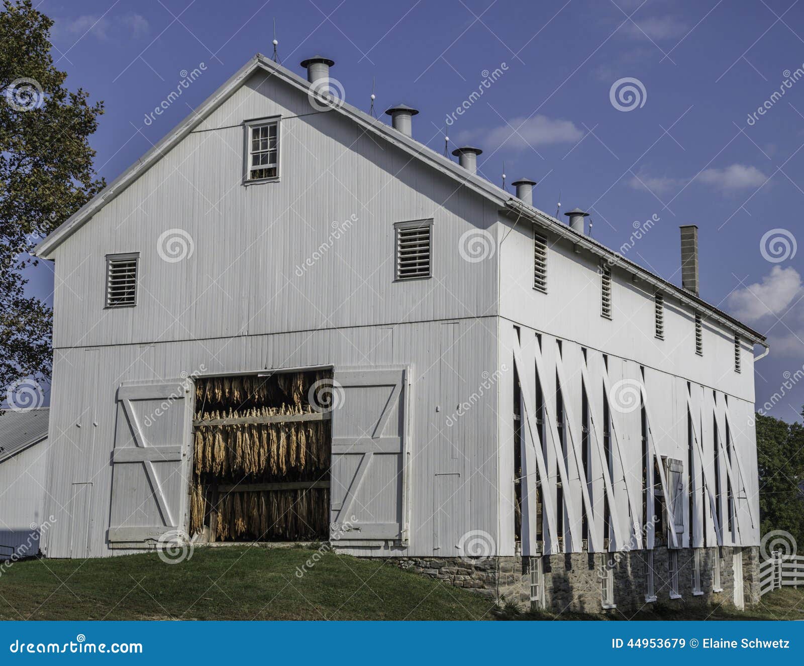 Tobacco Barn stock image. Image of vented, barn, harvest - 44953679