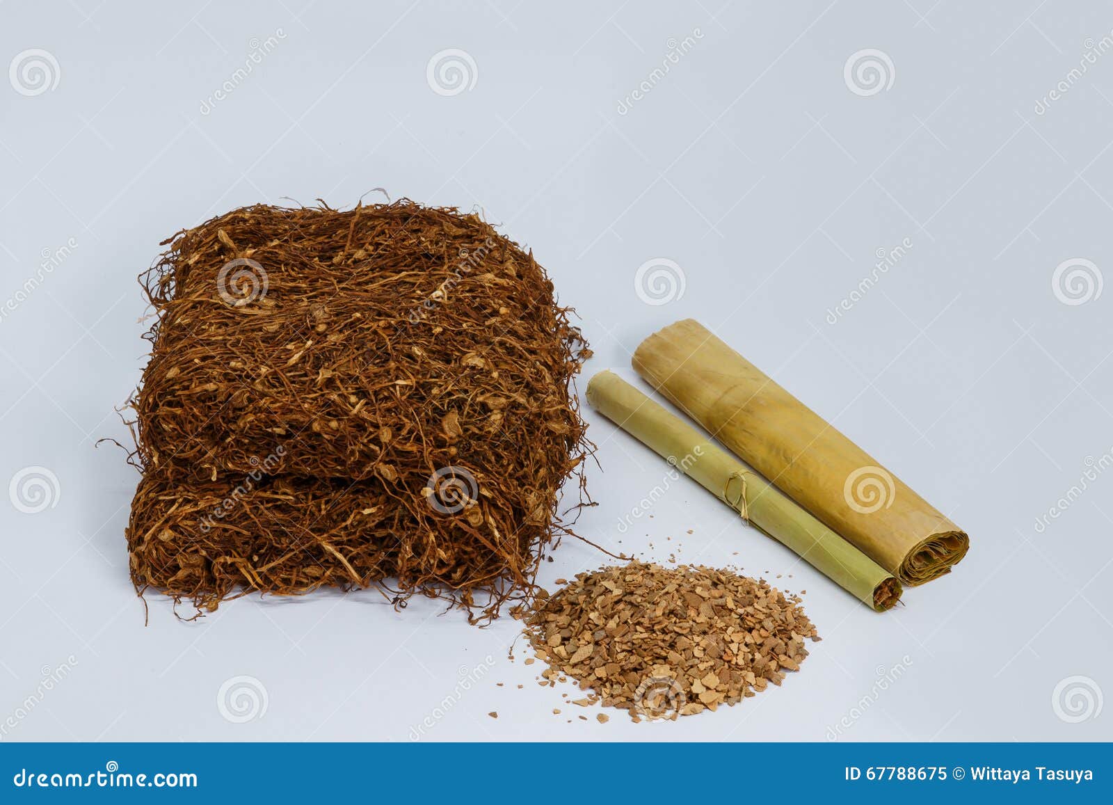 Cheroot Cigar Stock Photos - Free & Royalty-Free Stock Photos from ...