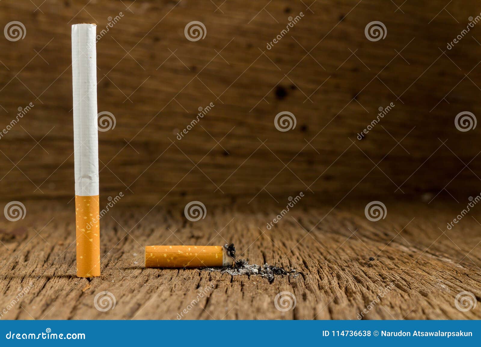 Tobacco cigarette. stub stock photo. Image of single - 114736638