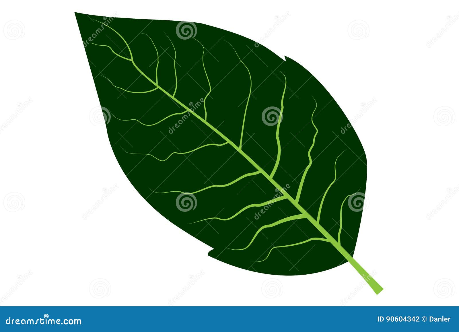 Tobacco leaf vector stock vector. Illustration of crop - 90604342