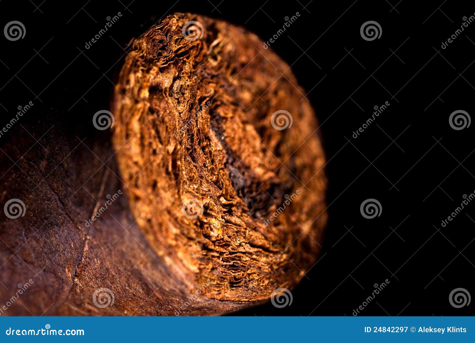 Tobacco Leaves Twisted in a Cigar Stock Image - Image of habit, cigar ...