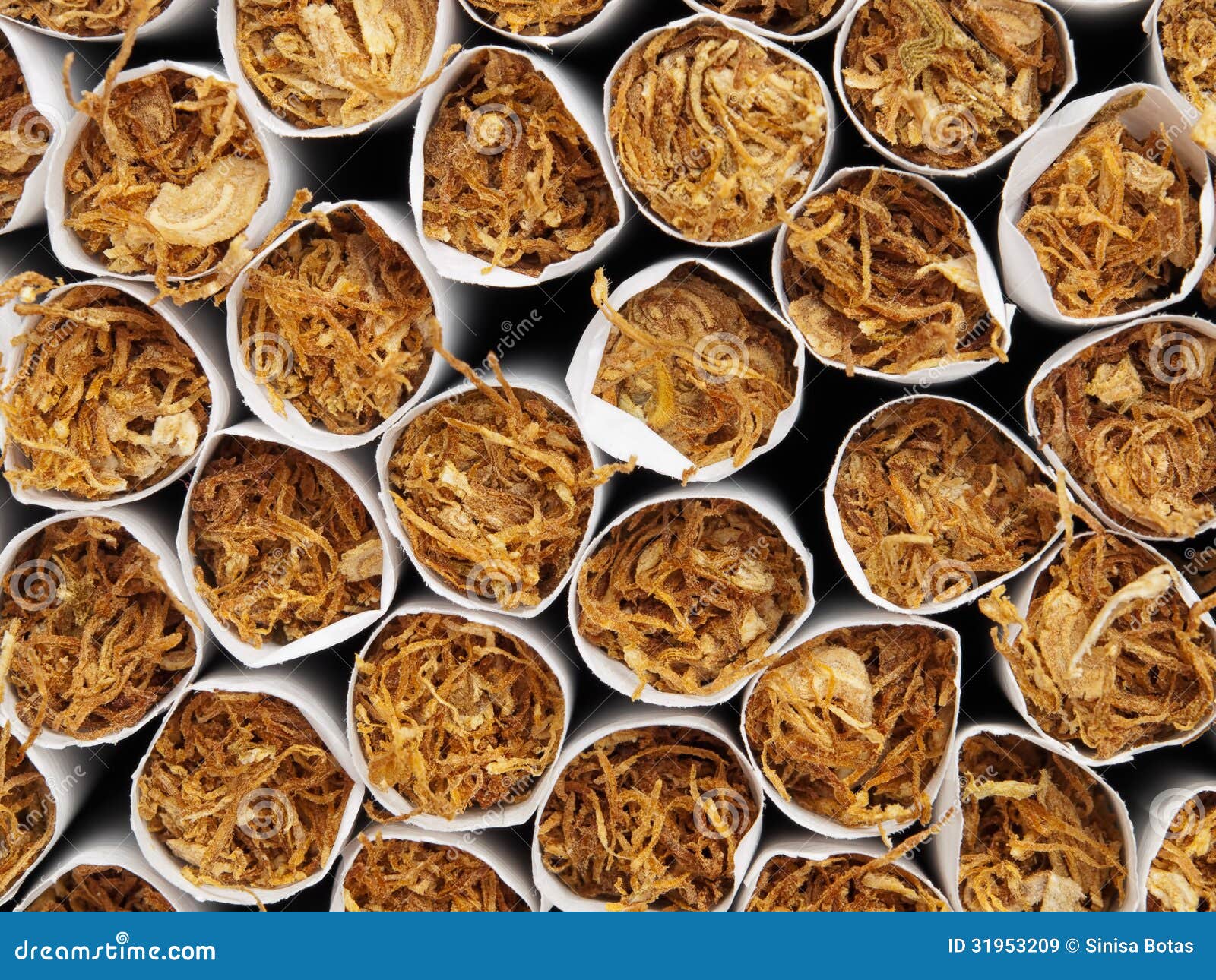 Tobacco stock image. Image of smoke, flavor, closeup - 31953209