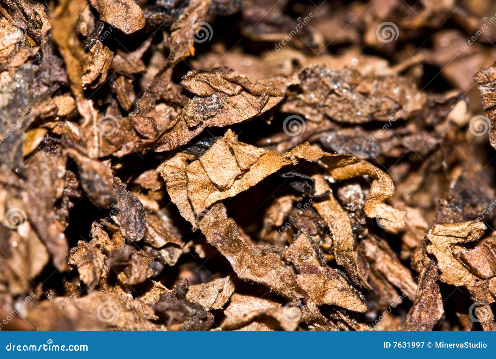 Tobacco texture stock image. Image of closeup, herbal - 7631997