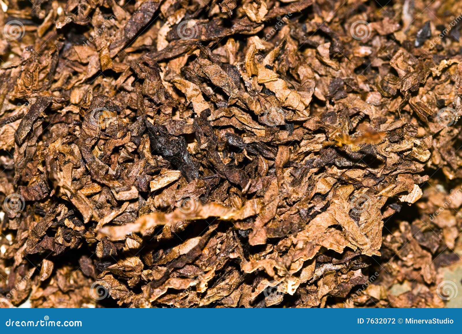 Tobacco texture stock photo. Image of aroma, golden, nature - 7632072