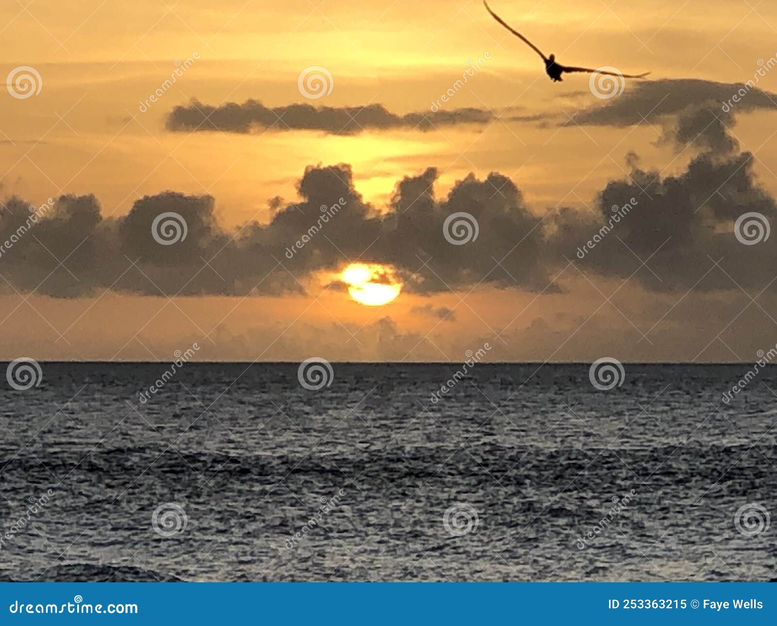 Tobago sunset stock image. Image of evening, ocean, orangeskies - 253363215