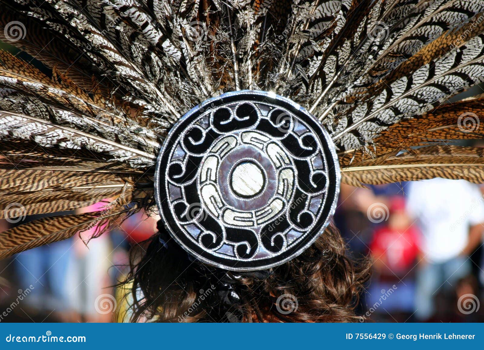 Tocado de la pluma imagen de archivo. Imagen de joven - 7556429