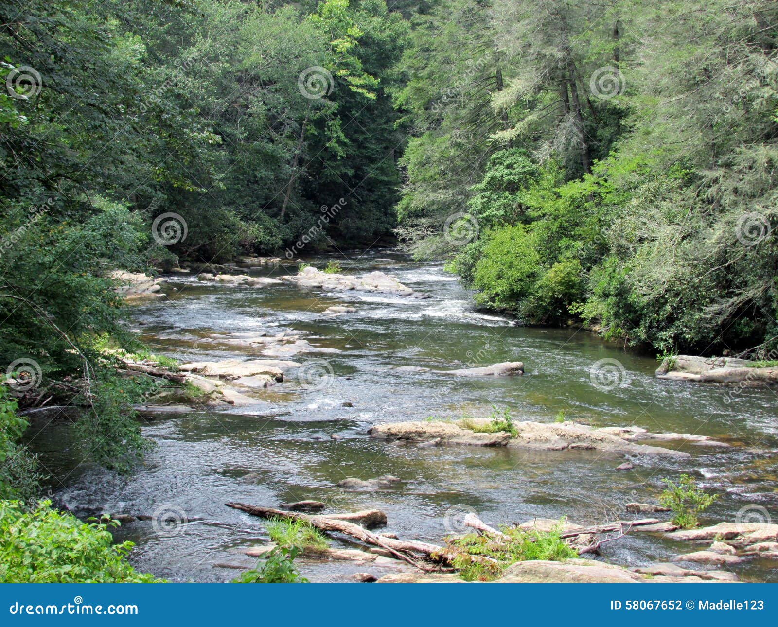 The Toccoa River stock photo. Image of forest, hiked - 58067652