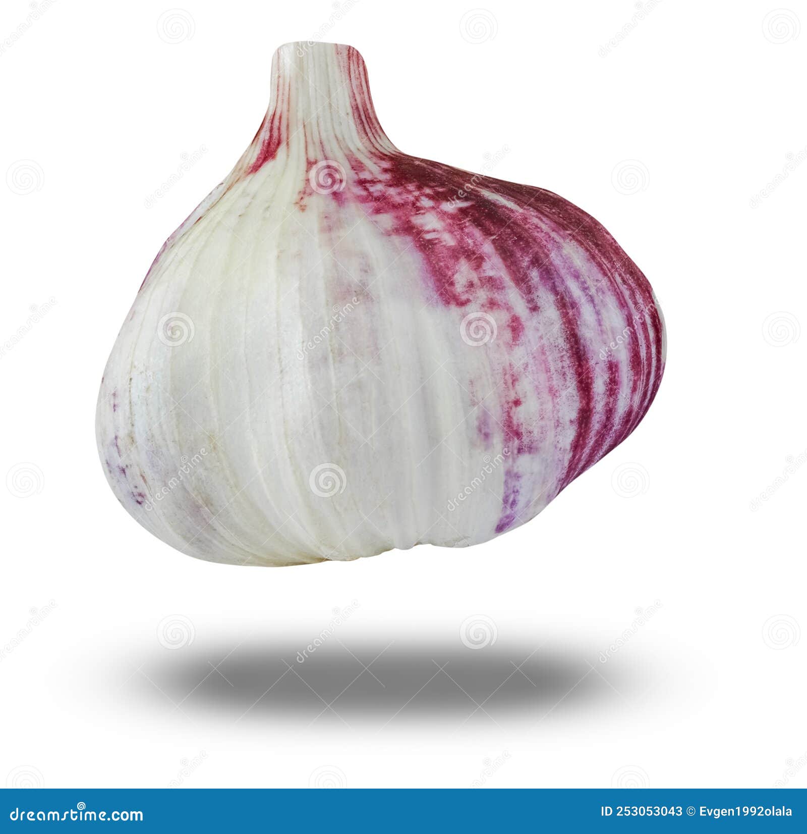 Toda La Cabeza De Ajo Joven Aislado En Fondo Blanco Imagen de archivo ... Toda La Cabeza De Ajo Joven Aislado En Fondo Blanco Imagen de archivo ...