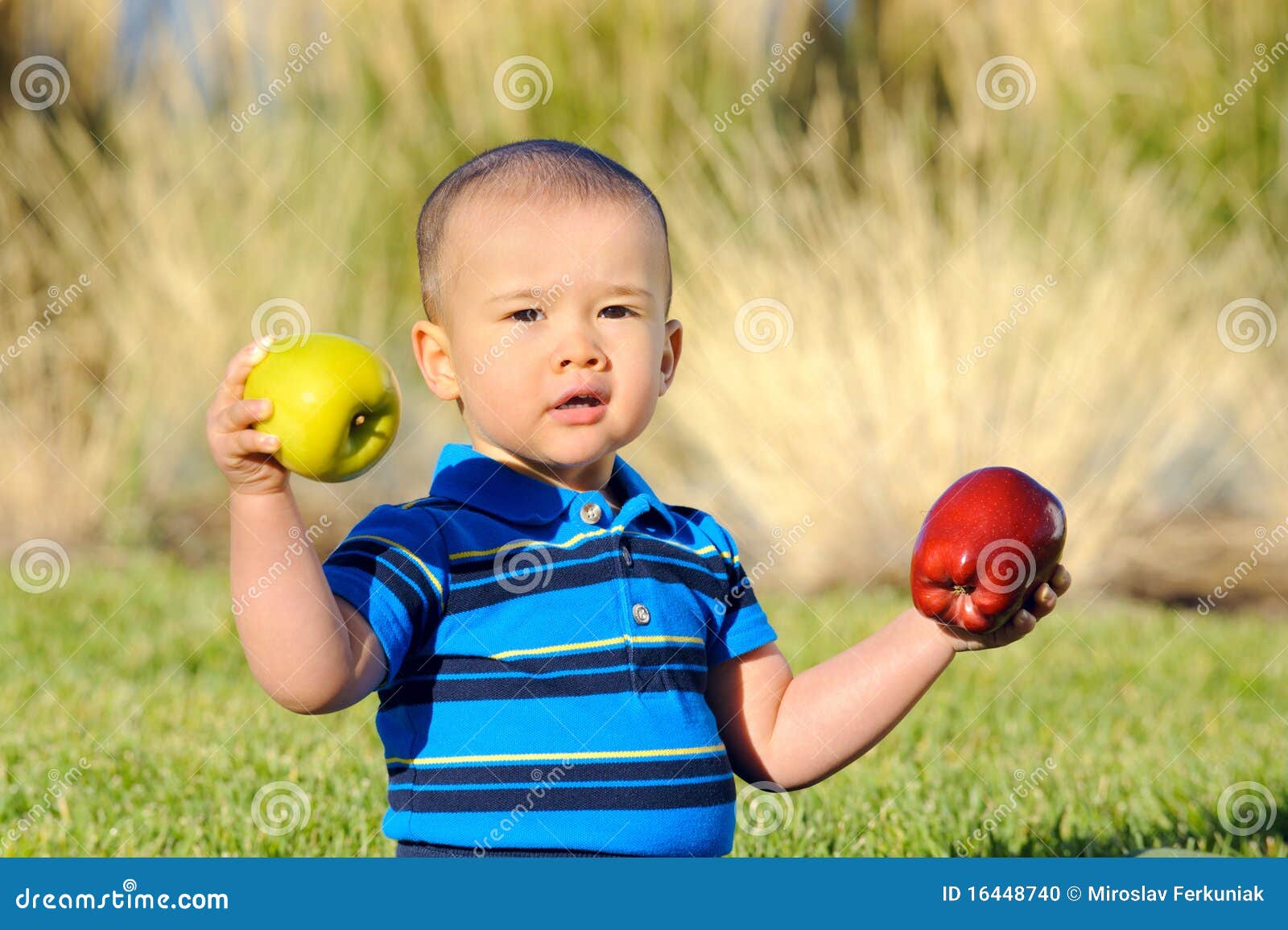Toddler with Apples stock photo. Image of smile, outdoors - 16448740