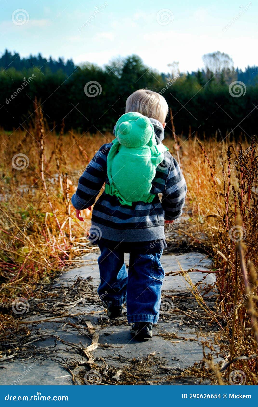 Toddler Back View Walking Fall Grass Vertical Stock Photo - Image of ...