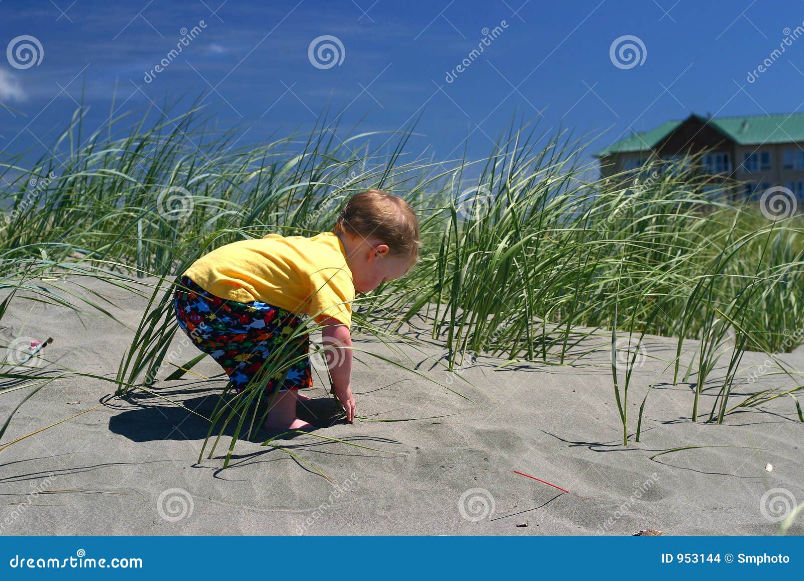 Toddler At The Beach Picture. Image: 953144