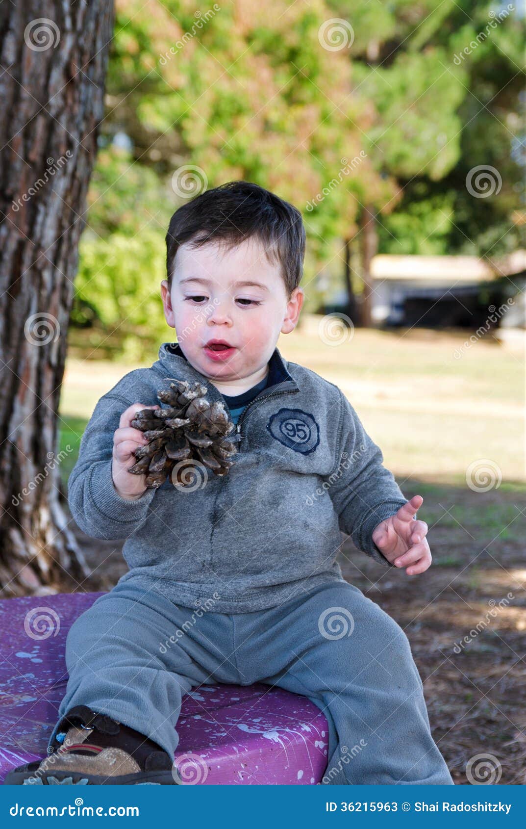 Toddler Boy and a Pine Cone Stock Image - Image of charm, grass: 36215963