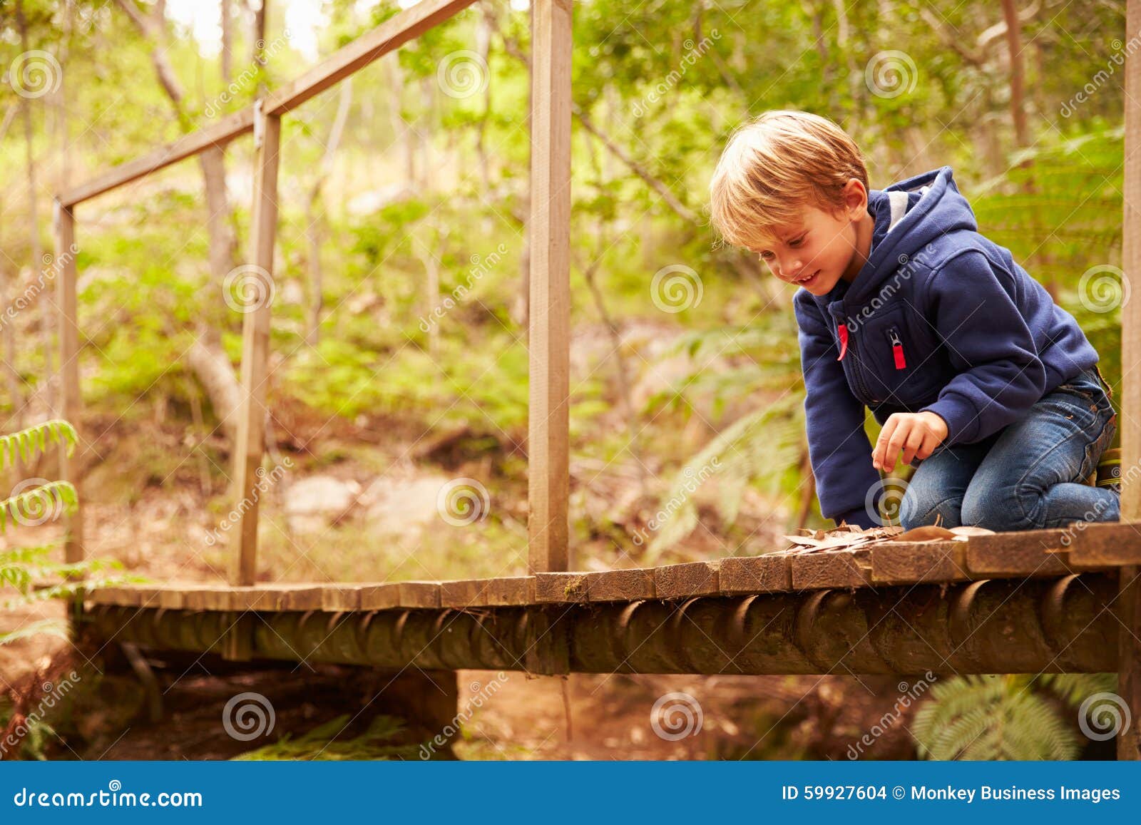 Toddler Boy Playing on a Wooden Bridge in a Forest Stock Photo - Image ...