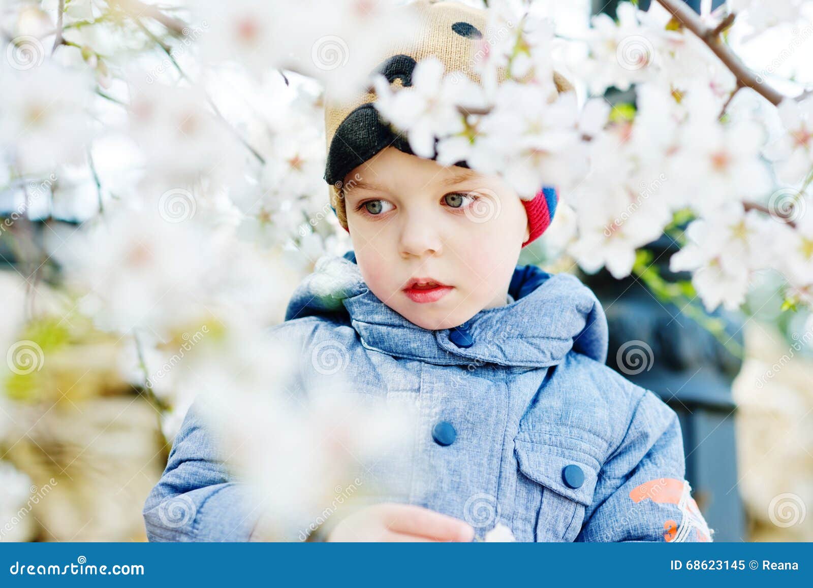 Toddler boy in spring stock image. Image of people, close - 68623145