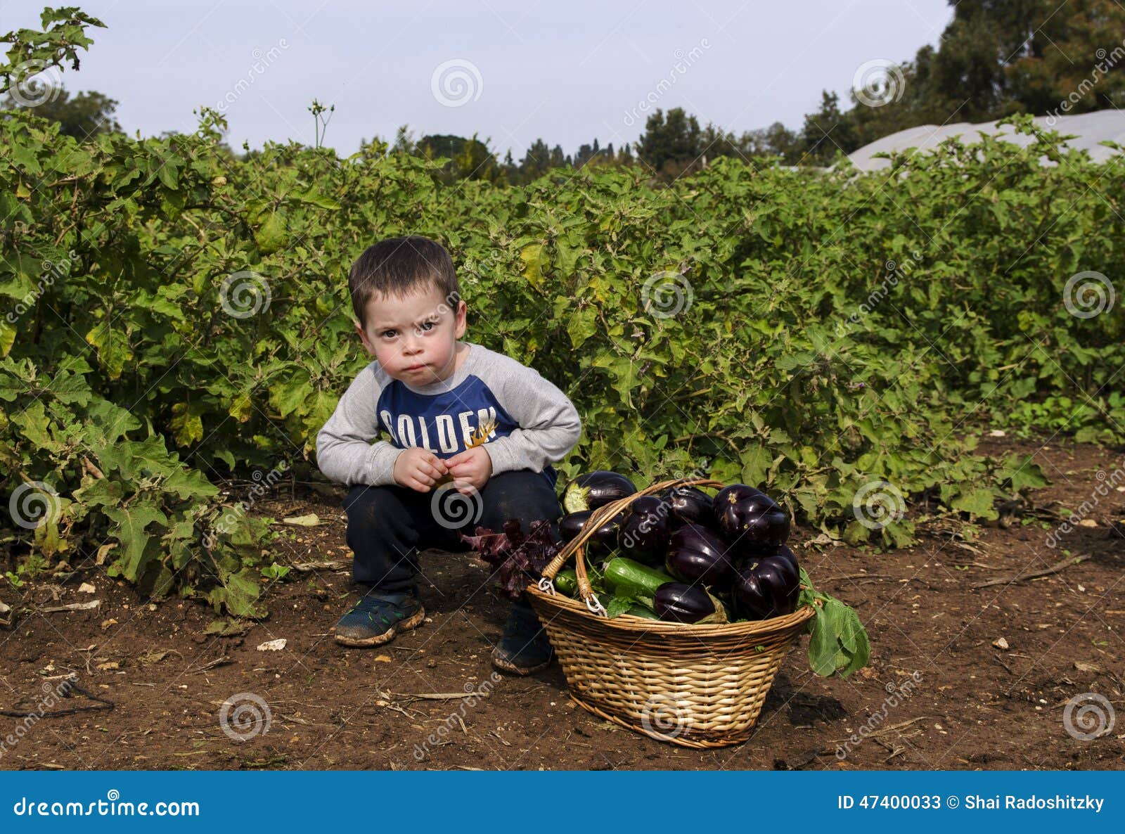 Toddler Boy at Vegetables Self-picking Stock Image - Image of clothes ...