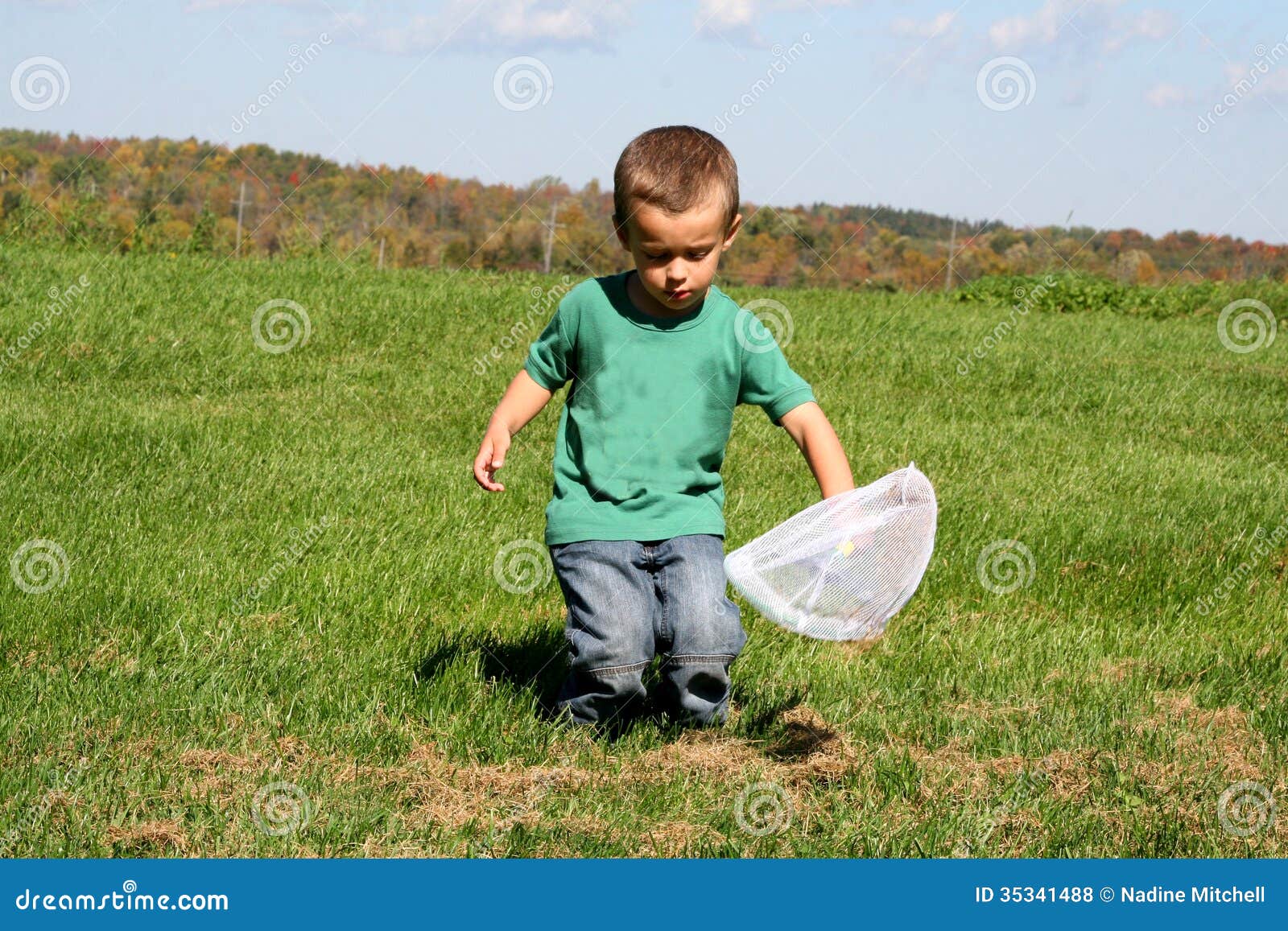 Toddler with butterfly net stock photo. Image of small - 35341488
