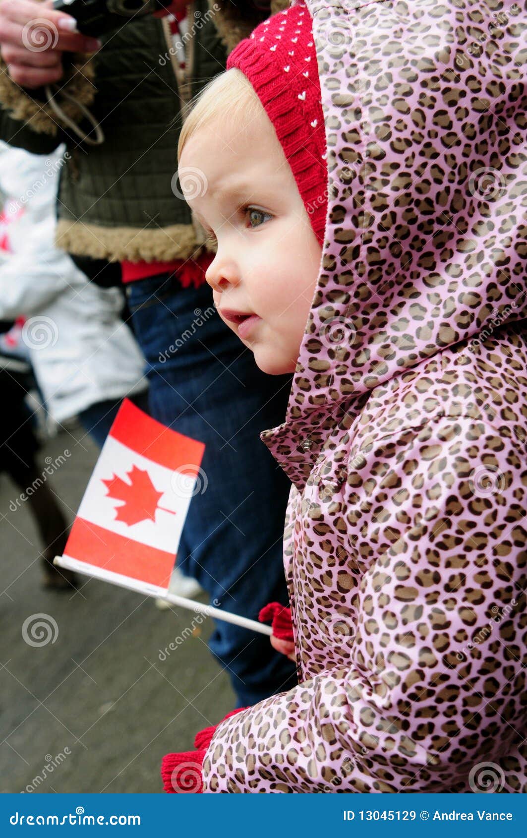 Toddler with Canadian flag stock image. Image of flag - 13045129