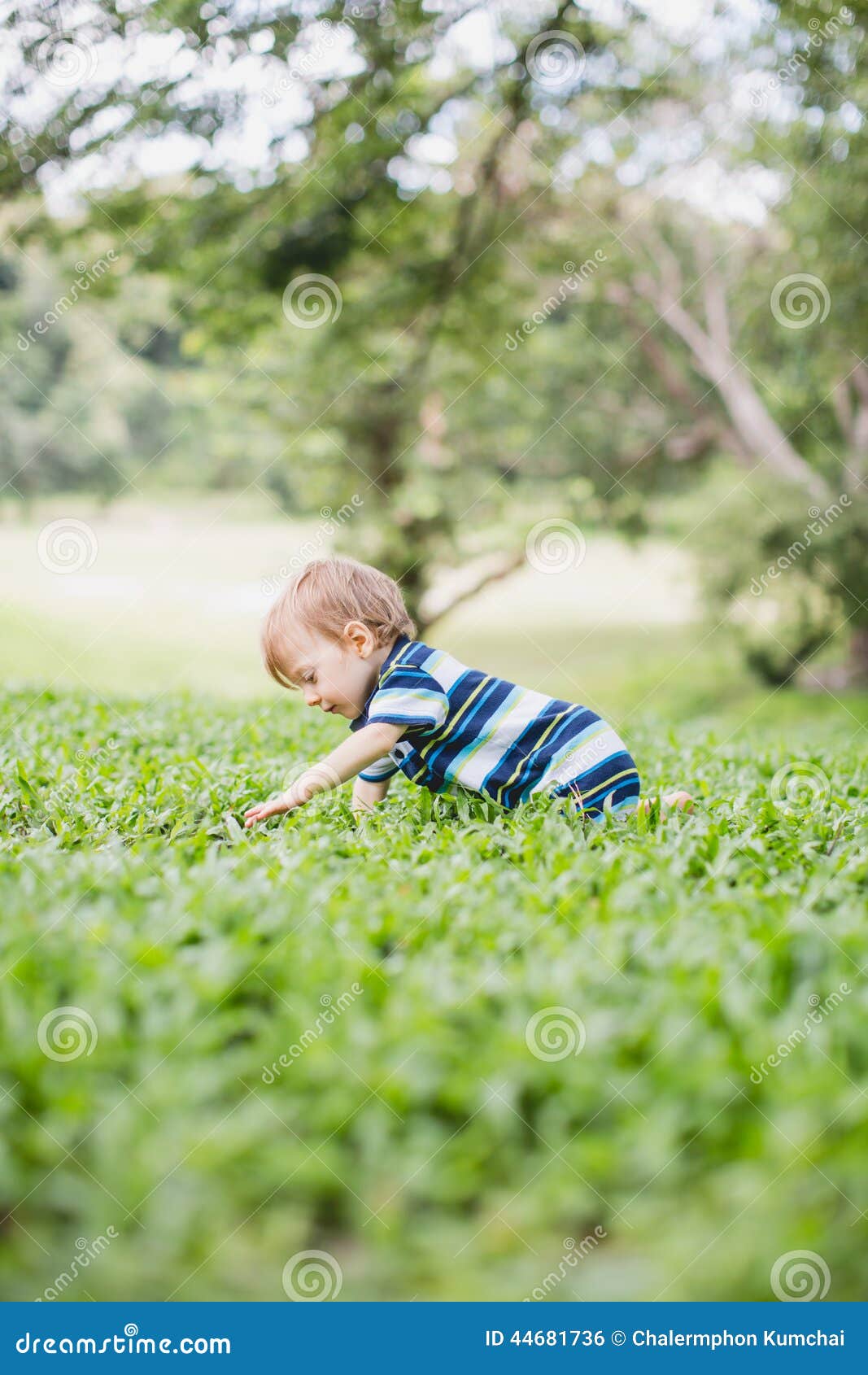 Toddler Crawling in the Garden and Exploring Backyard Editorial Photo ...