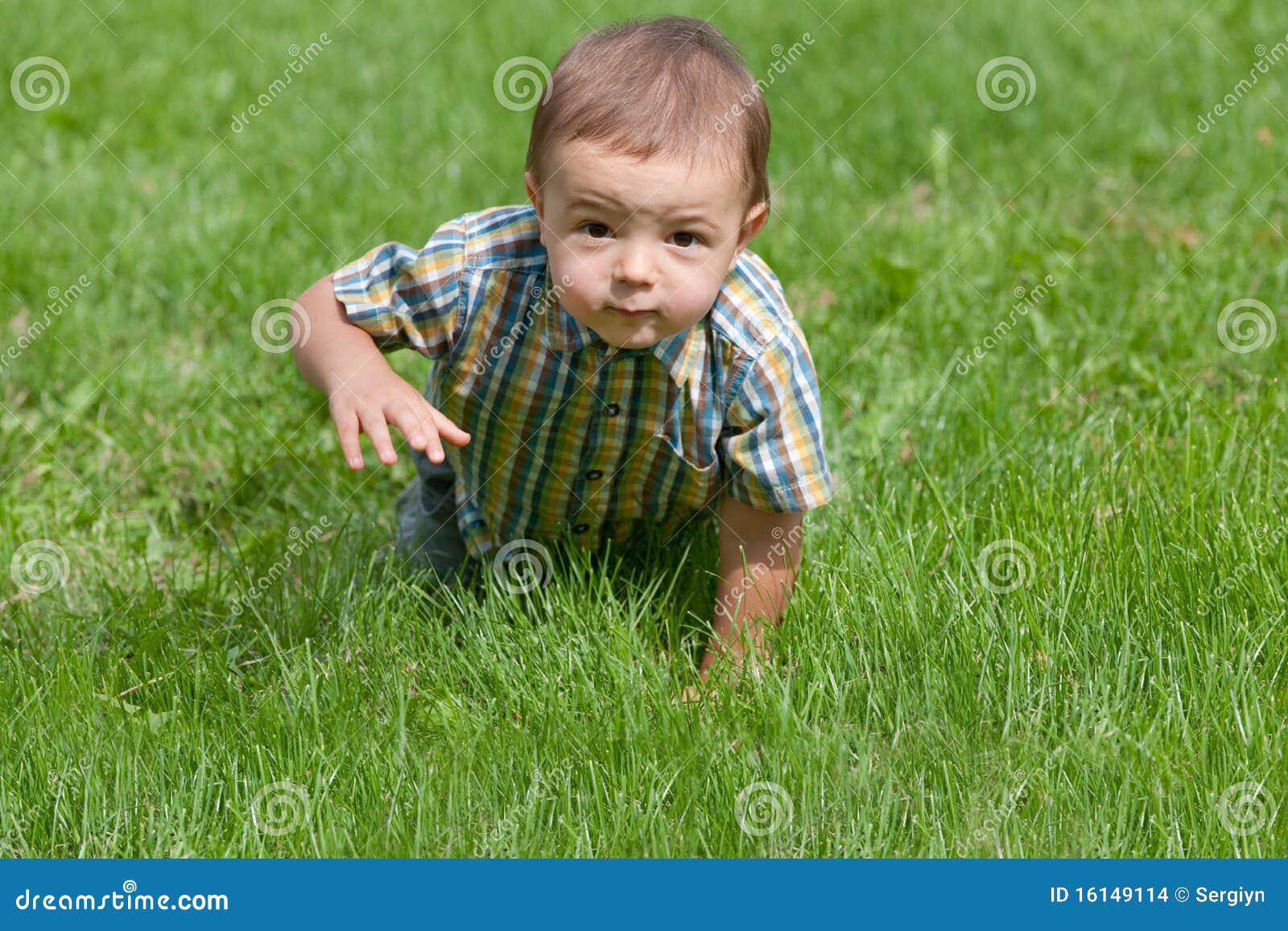 Toddler Crawling in the Grass Stock Photo - Image of happy, laughing ...