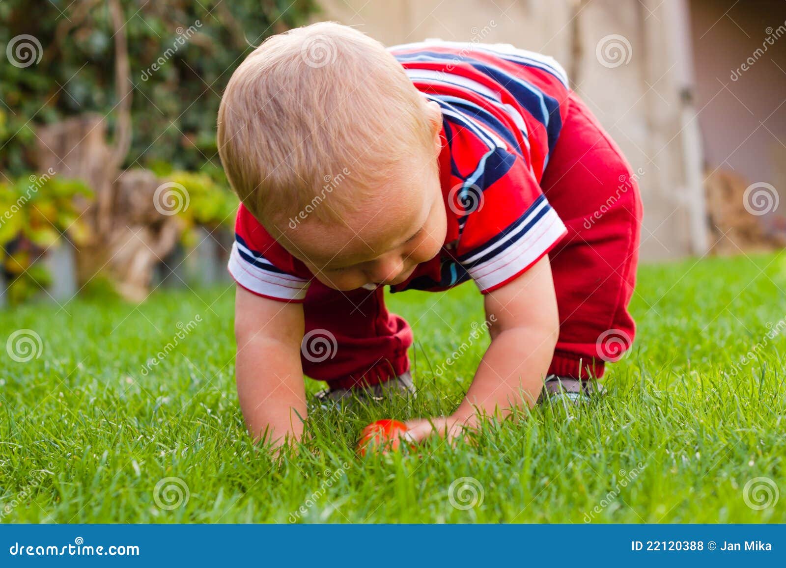 Toddler discovering nature stock photo. Image of garden - 22120388 Toddler discovering nature stock photo. Image of garden - 22120388