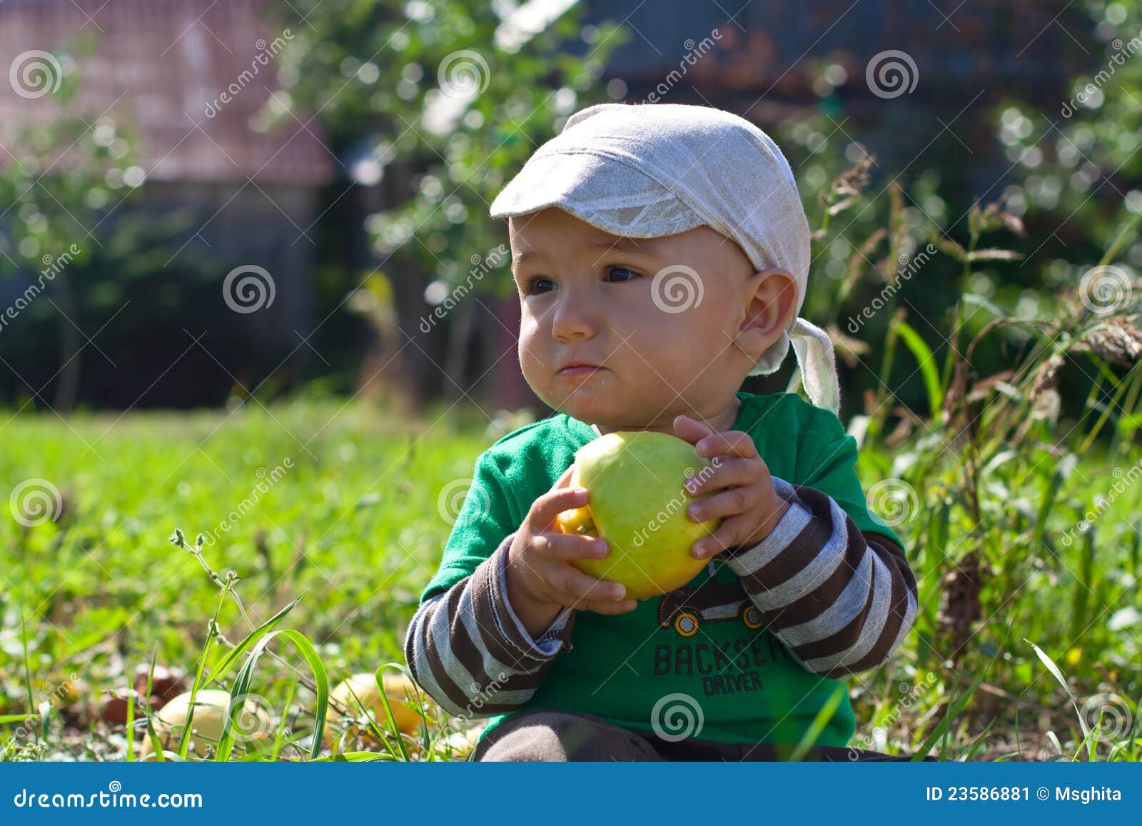 Toddler eating an apple stock image. Image of sunny, healthy - 23586881
