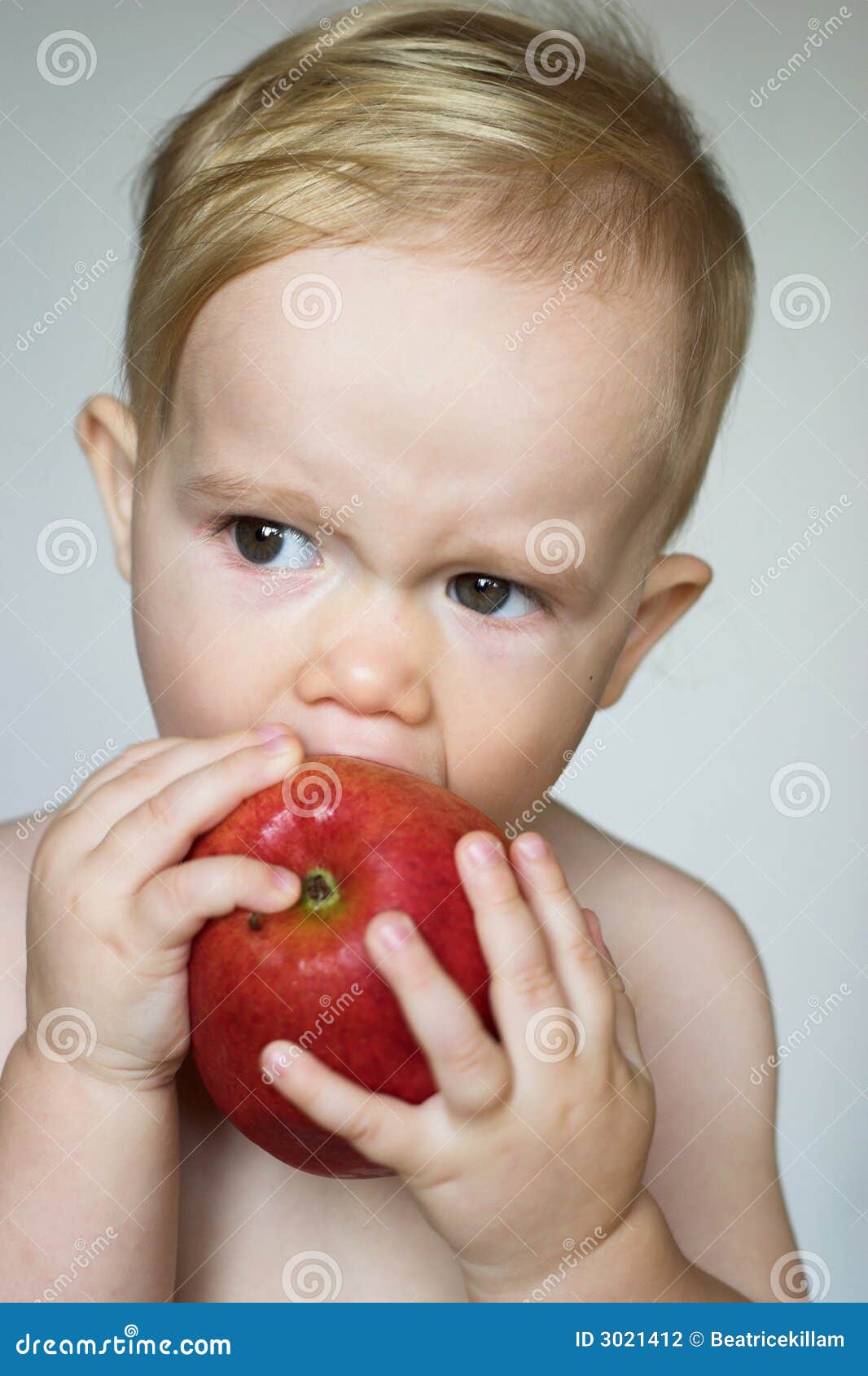 Toddler Eating Apple stock photo. Image of face, fresh - 3021412
