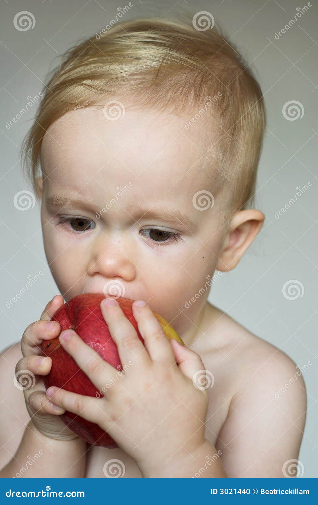 Toddler Eating Apple stock photo. Image of gorgeous, bare - 3021440