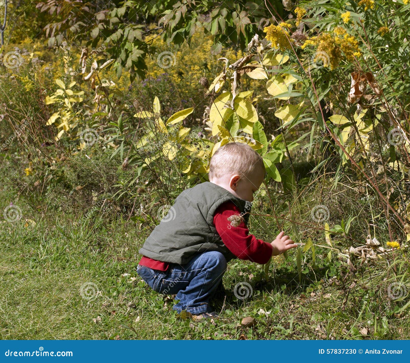 Toddler exploring outside stock photo. Image of toddler - 57837230