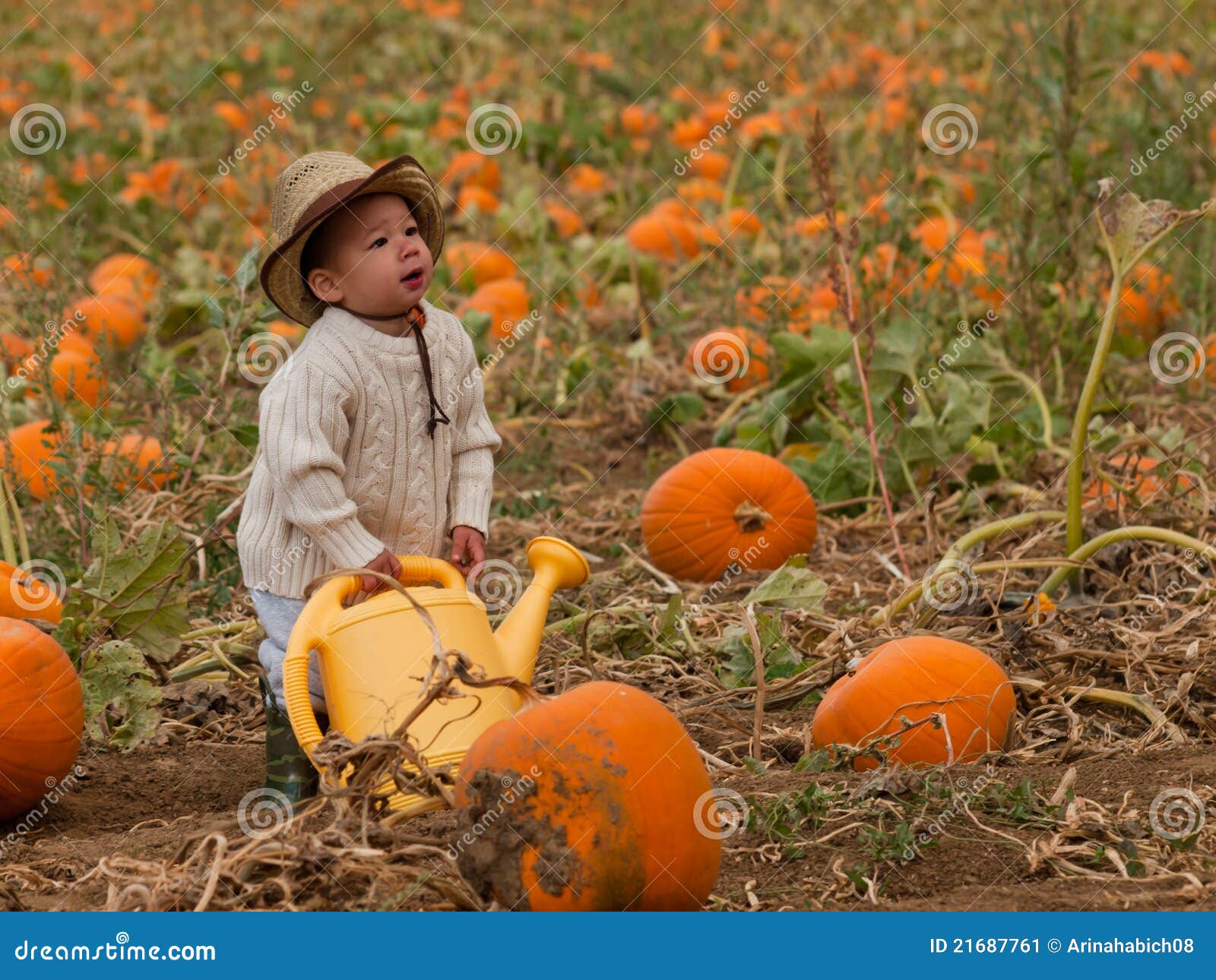 Toddler on the Farm stock image. Image of fall, child - 21687761