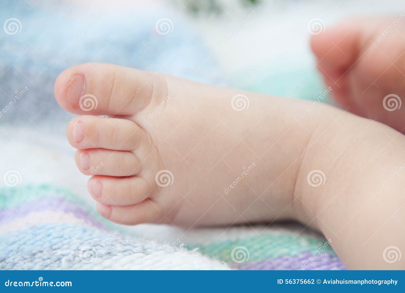Toddler Foot stock photo. Image of baby, abstract, close - 56375662
