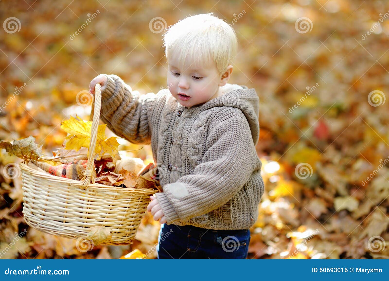 Toddler Having Fun in Autumn Stock Photo - Image of child, infant: 60693016
