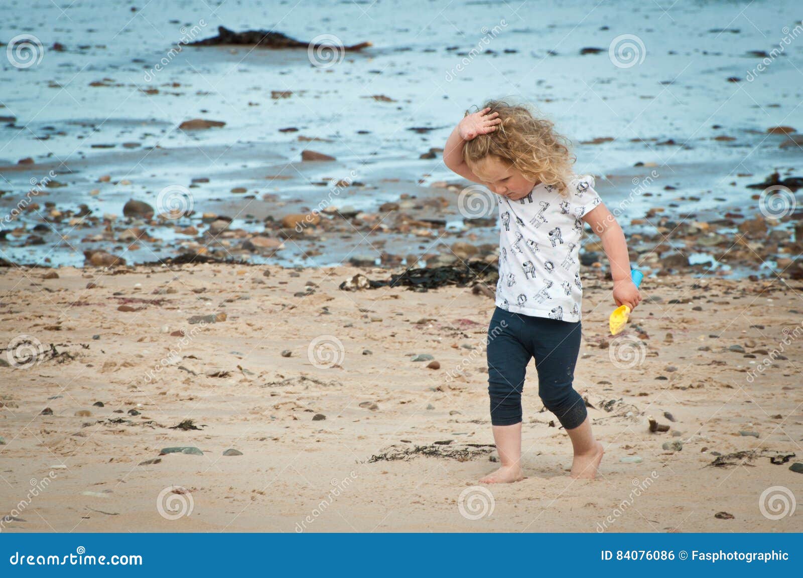 Toddler Having Fun Exploring the Beach Stock Photo - Image of eight ...
