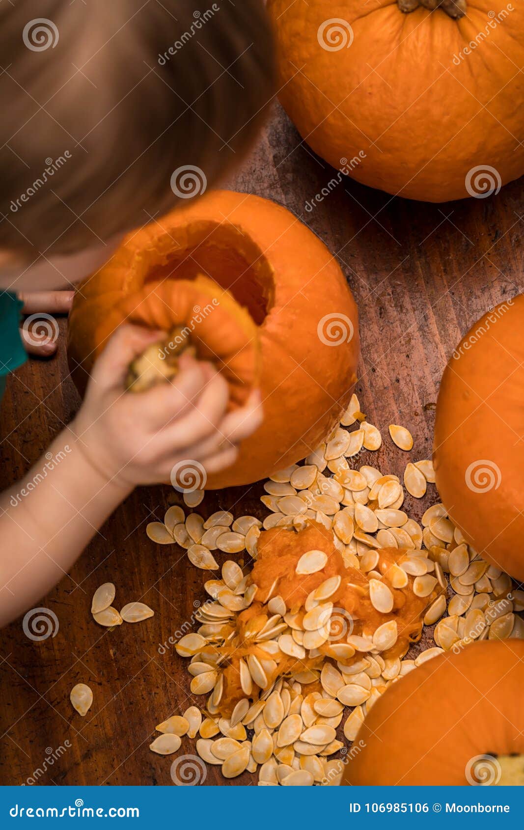 Toddler Lookin Inside a Pumpkin Stock Photo - Image of baking, guts ...