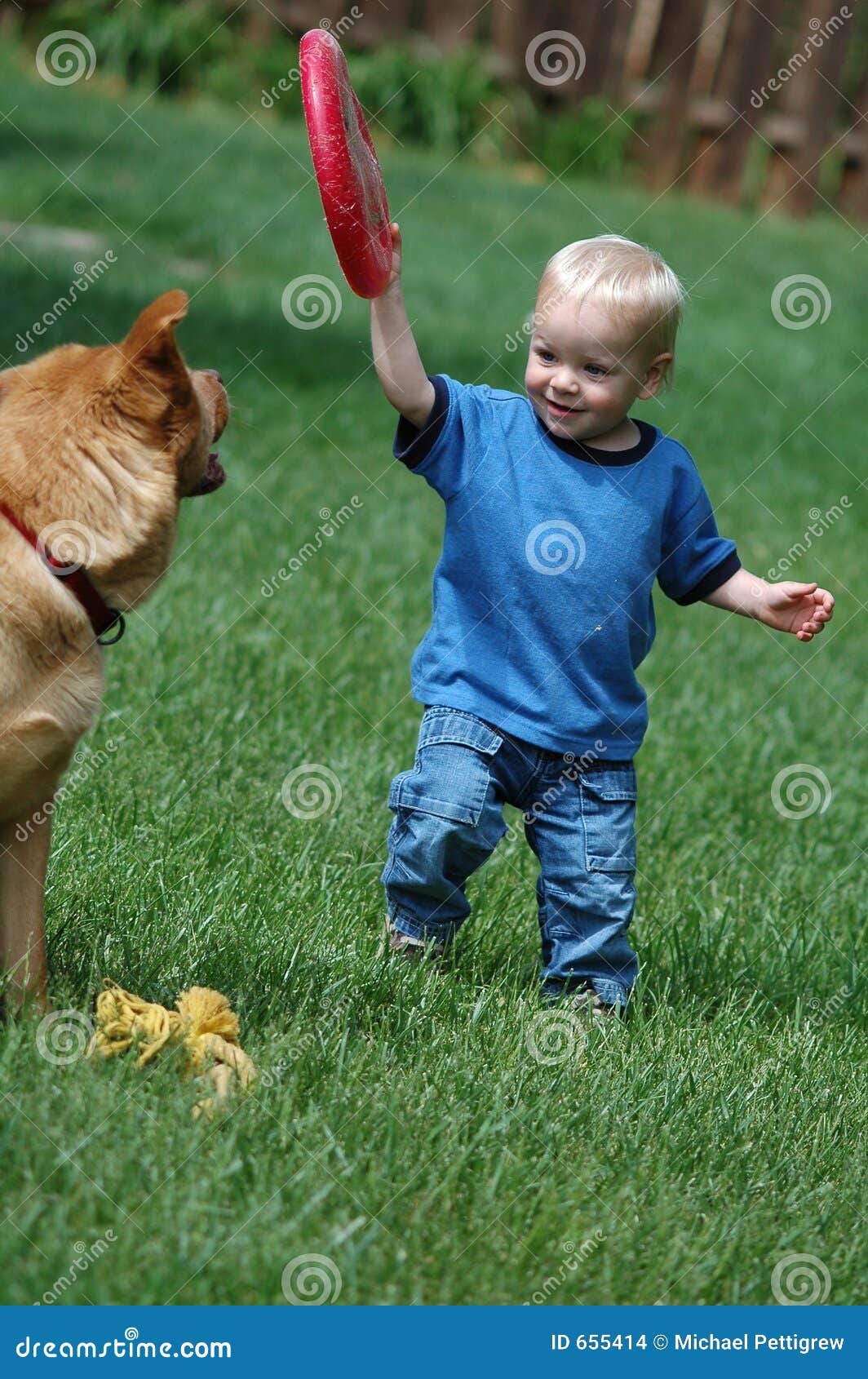 Toddler playing fetch game stock photo. Image of play, fetch - 655414