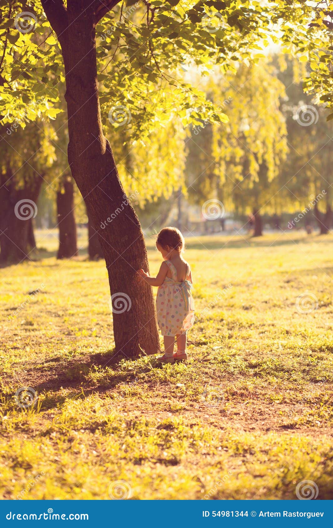 Toddler Playing Near the Tree Stock Photo - Image of adorable, little ...