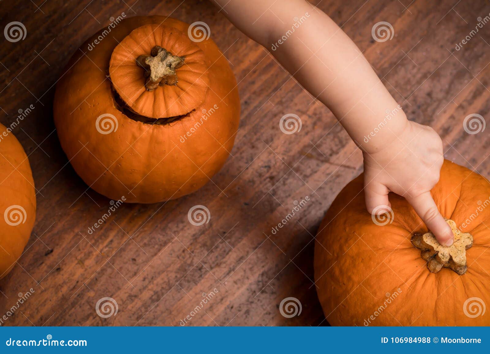 Toddler Pointing at a Pumpkin Stock Photo - Image of healthy, human ...