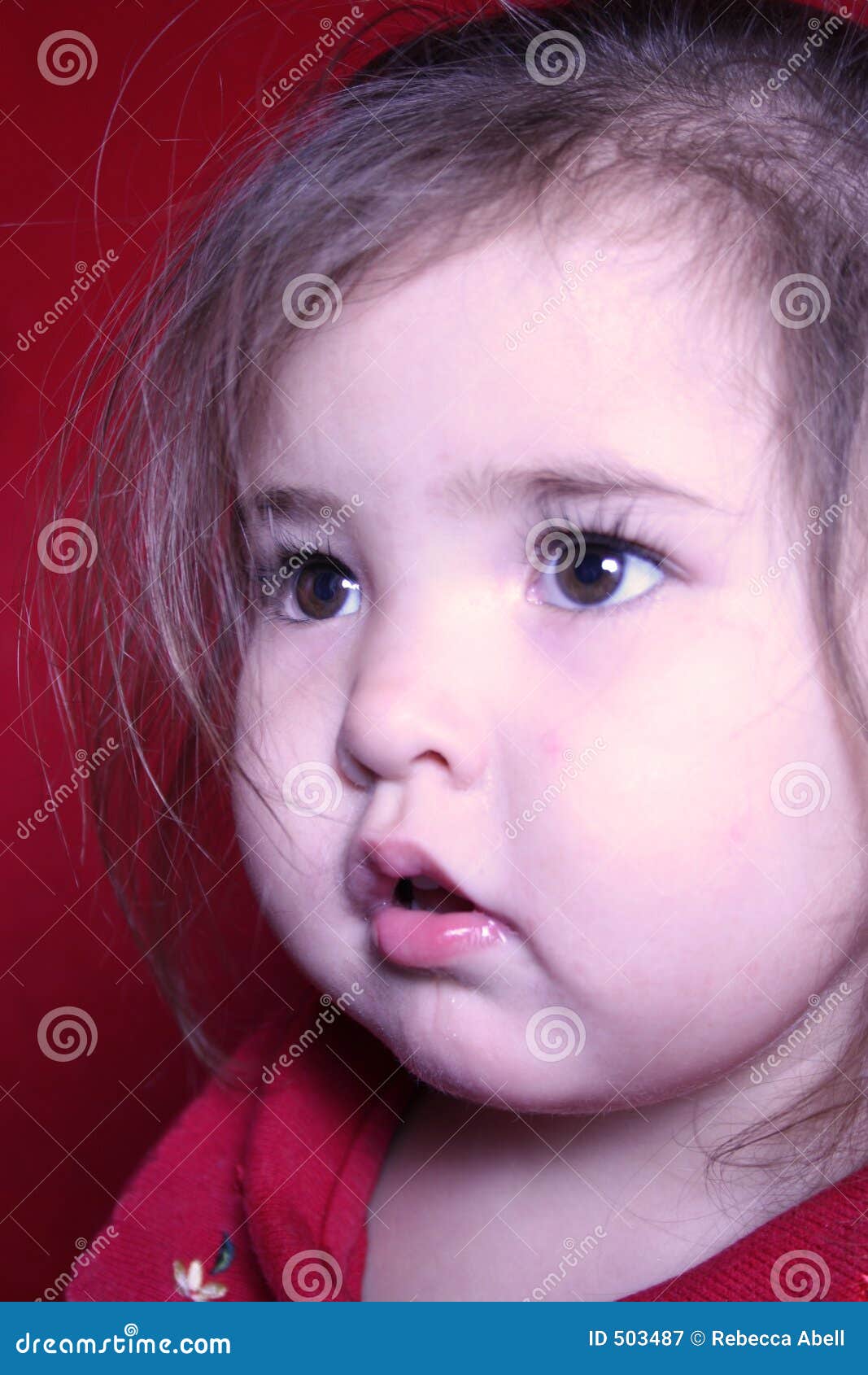 Toddler Profile stock image. Image of cheeks, close, children - 503487